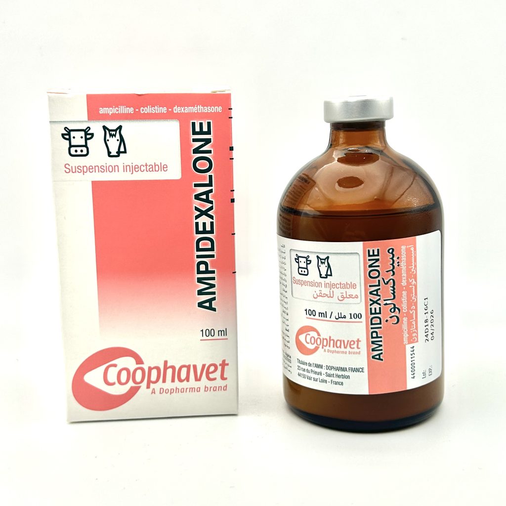 ANTI-INFLAMMATOIRES – vetalpharma